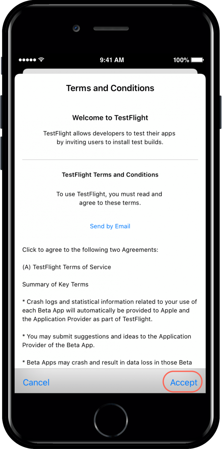 App Store Testflight Support